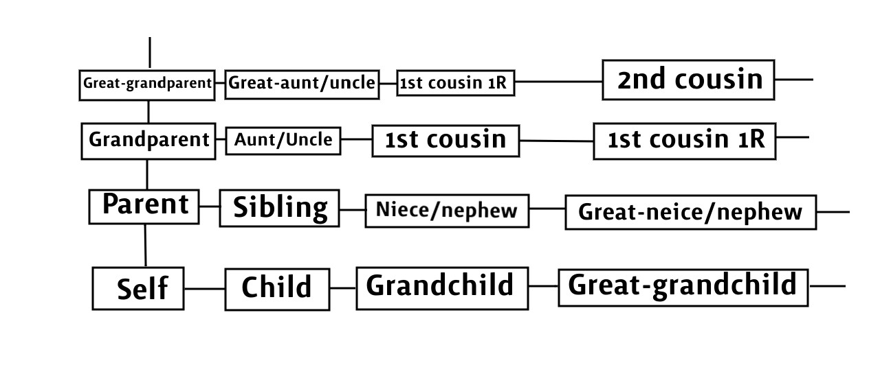 Family Relation Diagram